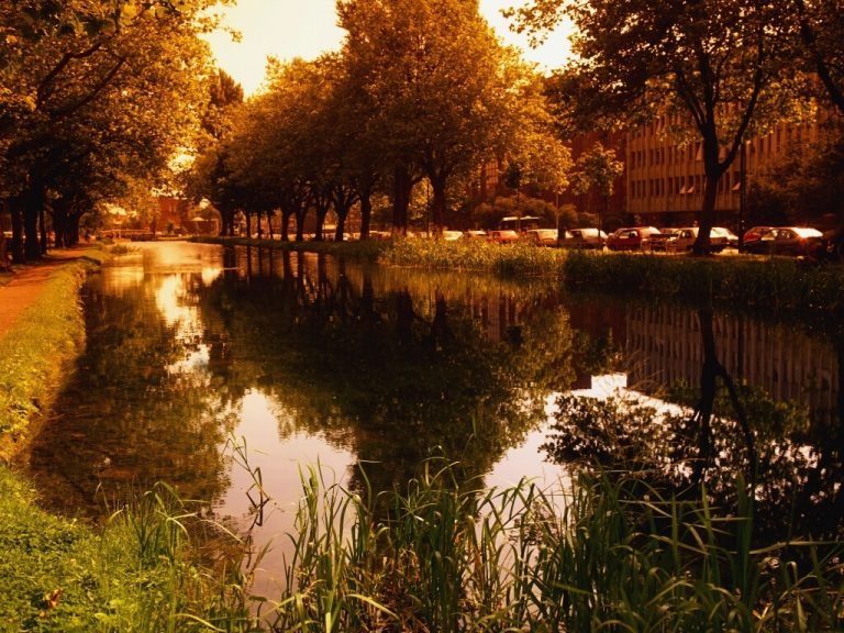 The Best Time to Visit Dublin (by a local)