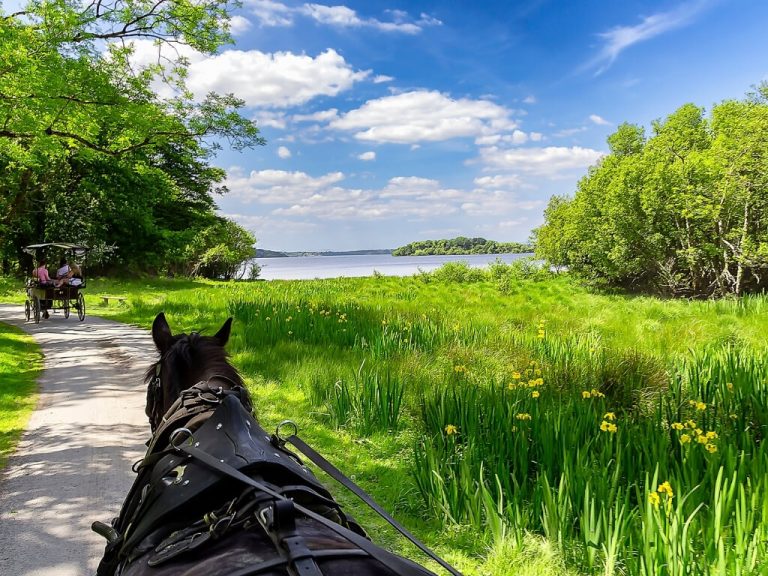 The Best Things to Do in Killarney - A Complete Guide