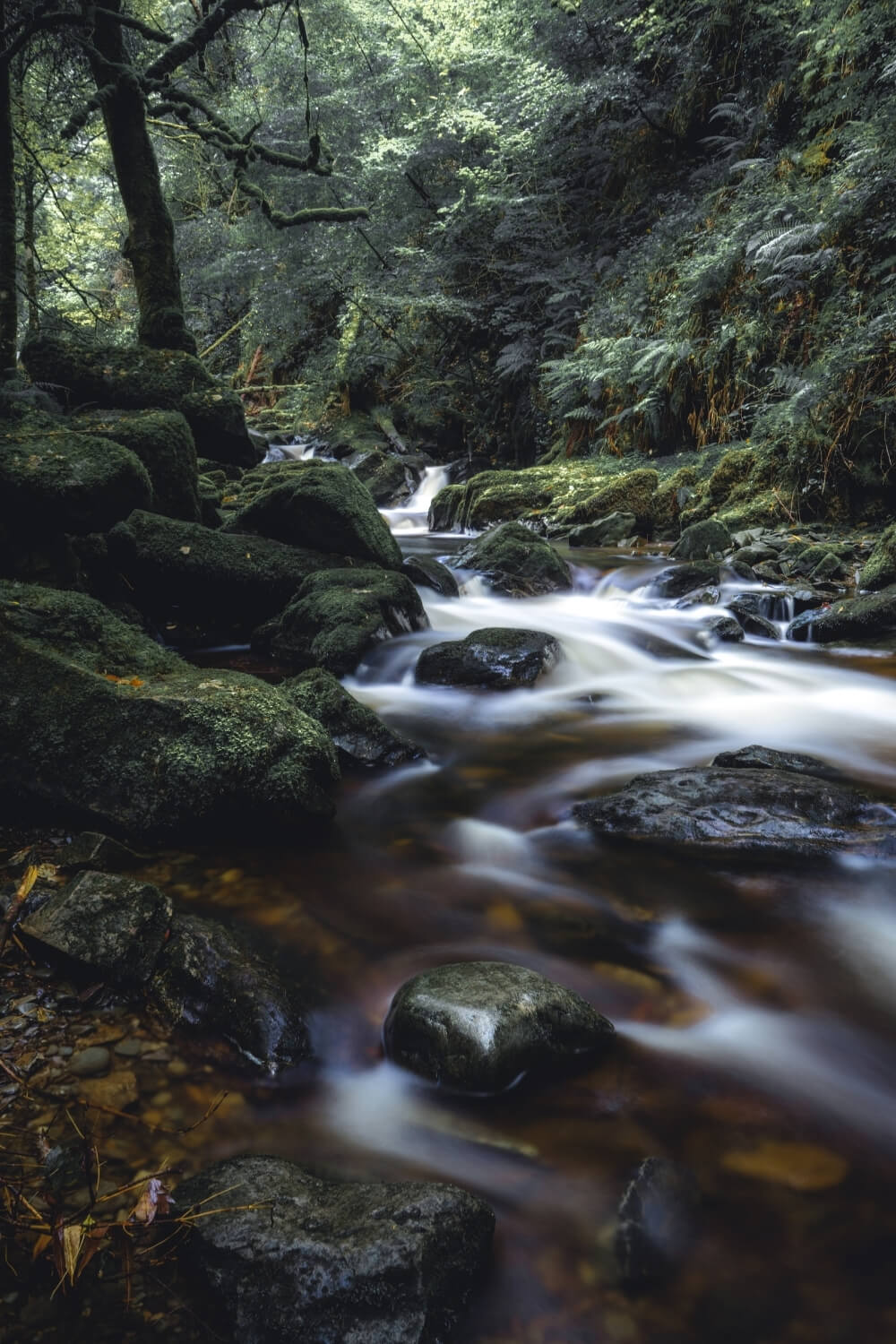 The Best Things to Do in Killarney - A Complete Guide