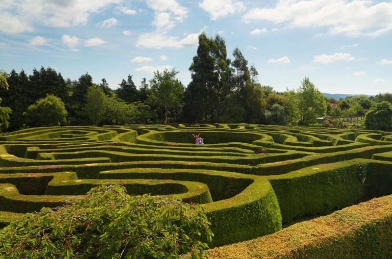 Best Hedge and Maize Mazes in Ireland: An A-maze-ing Day Out