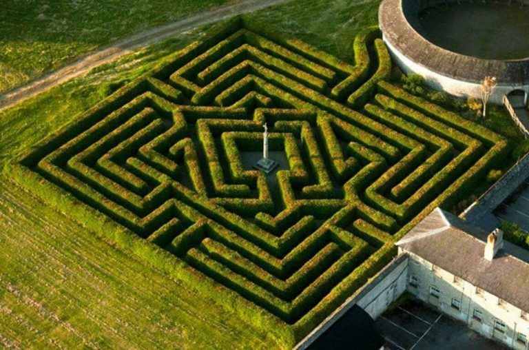 Best Hedge and Maize Mazes in Ireland: An A-maze-ing Day Out