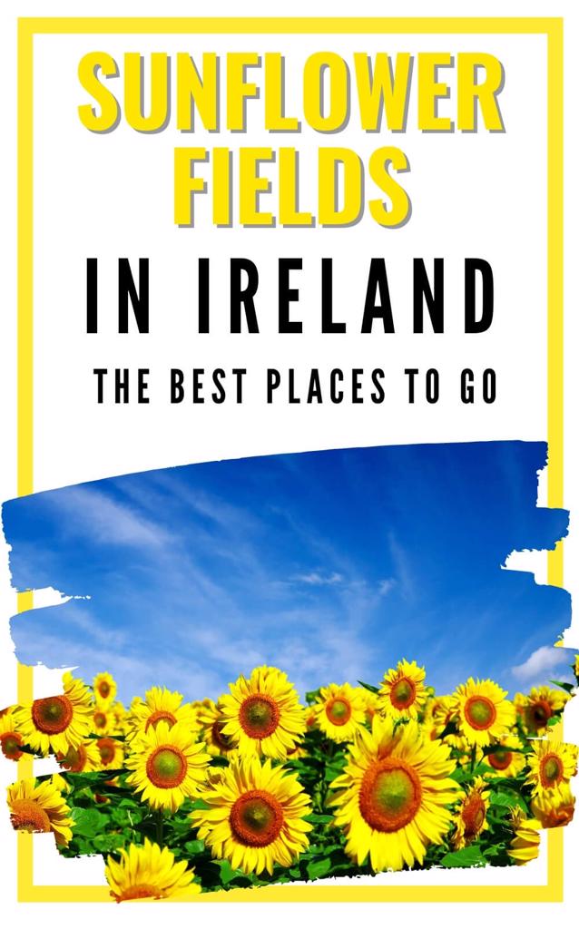 The Best Sunflower Fields in Ireland - A Blooming Good Tour across the ...