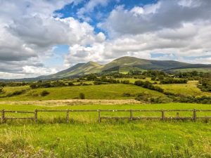 Best Things to Do in Limerick, Ireland (County Guide)