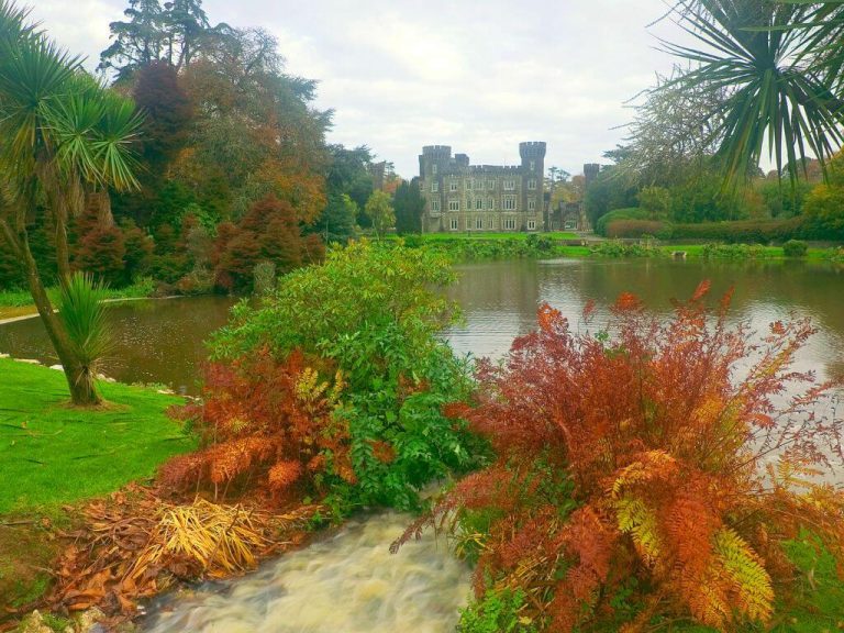 The Best Places to See Fall/Autumn Leaves in Ireland