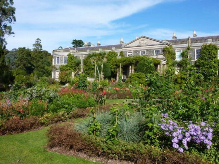 Best Day Trips from Belfast - Embarking on Scenic Irish Adventures
