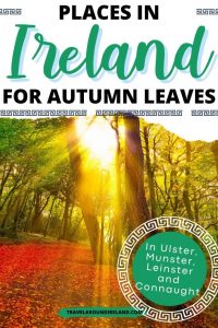 The Best Places to See Fall/Autumn Leaves in Ireland