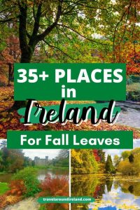The Best Places to See Fall/Autumn Leaves in Ireland