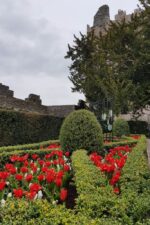 April in Ireland - The Benefits of Visiting This Month