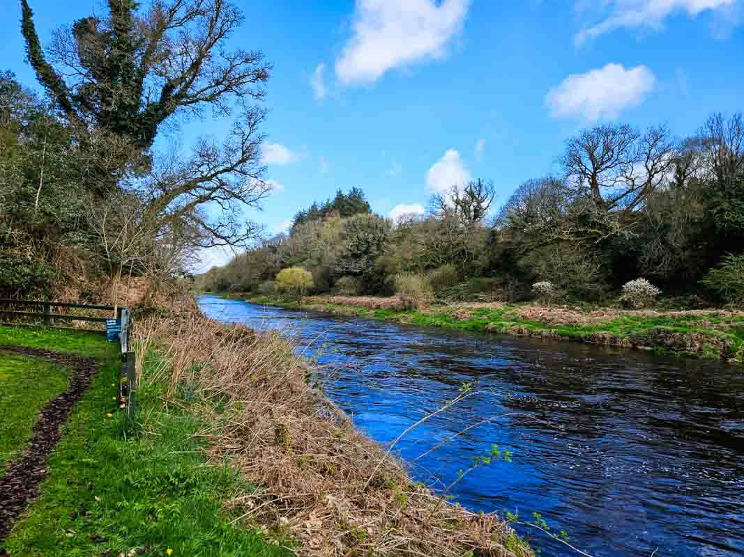 July in Ireland Revealed: Weather, Tips, and Things to Do