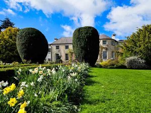 Ireland in Spring: A Quick Guide to the Best Places to Visit and What ...