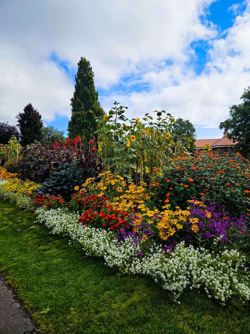 Ireland in Spring: A Quick Guide to the Best Places to Visit and What ...