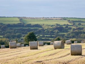 What to Expect from September in Ireland: A Complete Guide